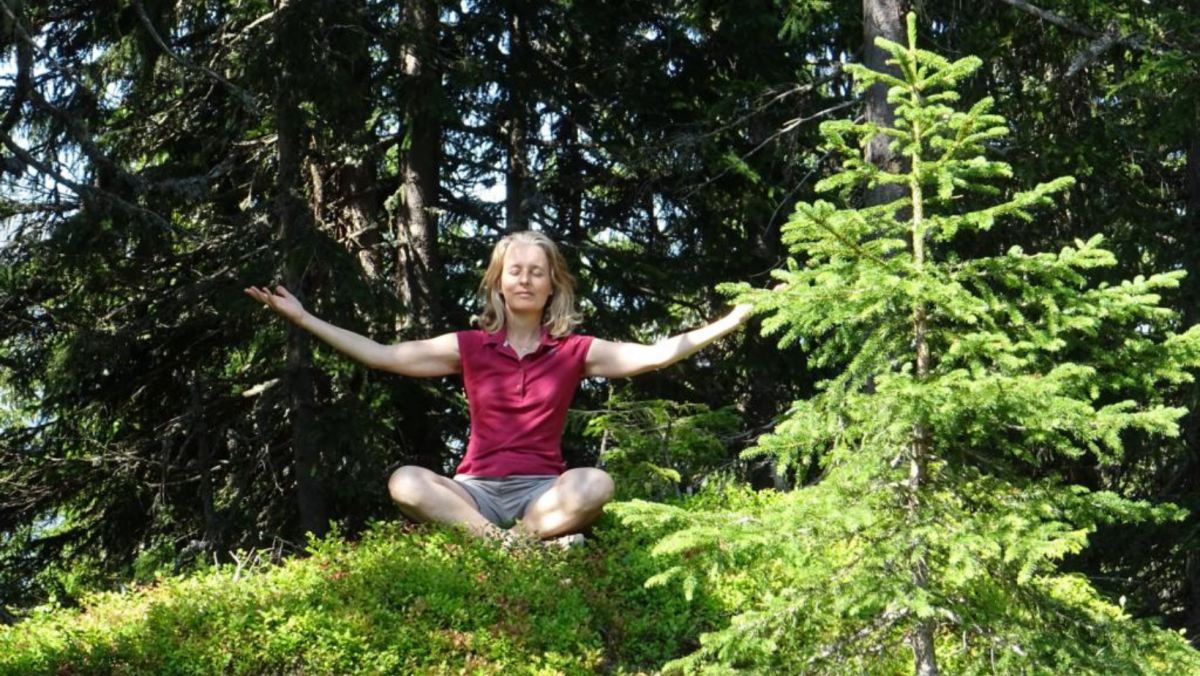 Sheng Zhen Meditation lernen Salzburger Land - Lebendigsein